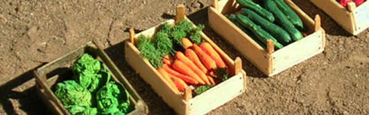 foodsharing